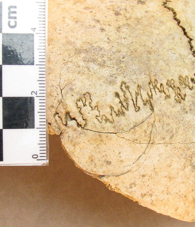 The Poetics of Massacre in Copper Age Croatia: Integrative Analysis of ...