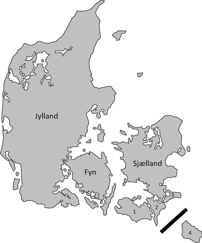 The Poetics of Power and Violence in Roman Iron Age Denmark | SpringerLink