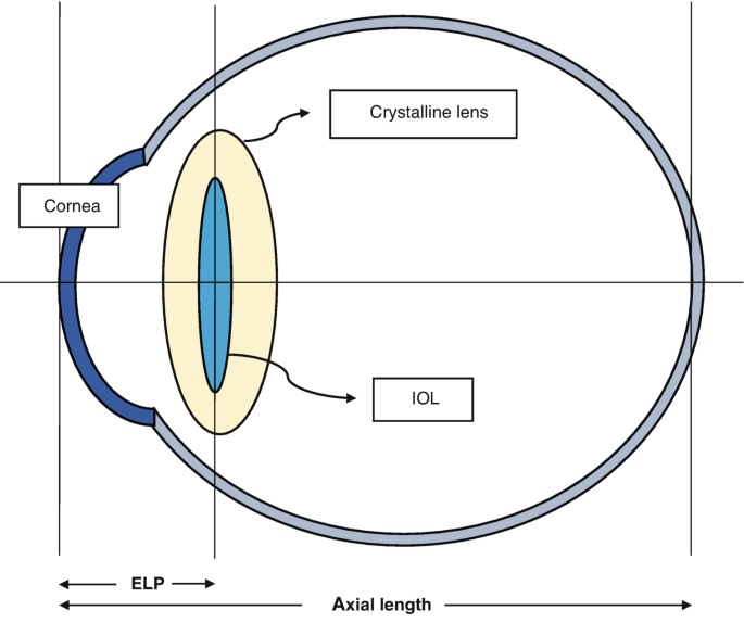 ELP Estimation | SpringerLink