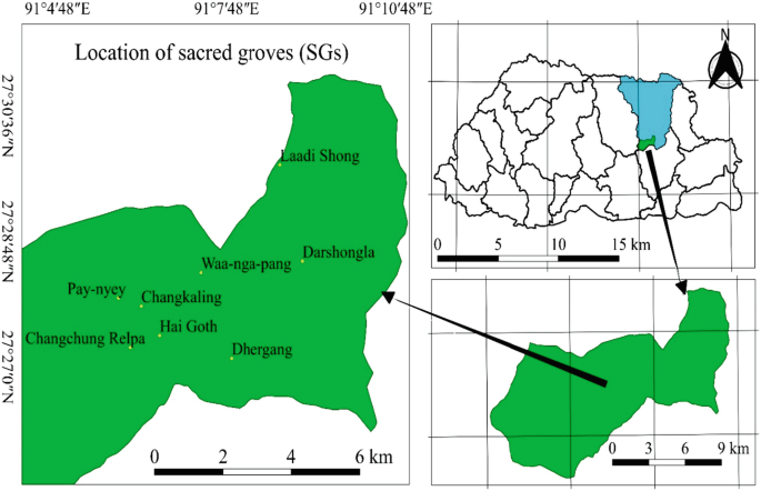 The Biocultural and Conservation Role of Sacred Groves in Jarey Gewog ...