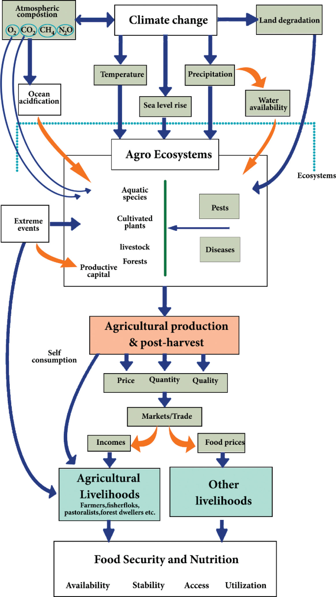 Climate Variability and Food Security | SpringerLink