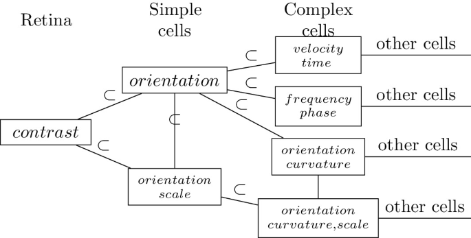 Cortical Functional Architectures as Contact and Sub-riemannian Geometry | SpringerLink