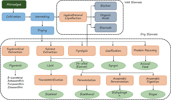 Biorefinery for Microalgal Biomass at an Industrial Production Scale | SpringerLink