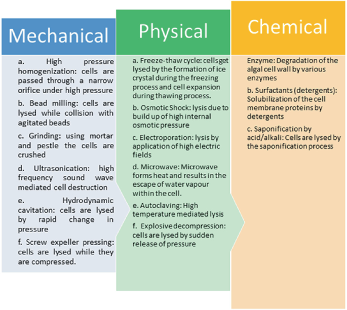 Economic Environment Friendly and Low-Cost Lipid Extraction Methods ...
