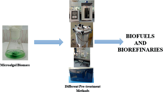 Pre-treatment Methods for Effective Resource Recovery from Microalgal Biomass | SpringerLink