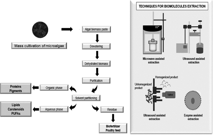 Emerging Techniques for Extraction and Applications of Biomolecules ...
