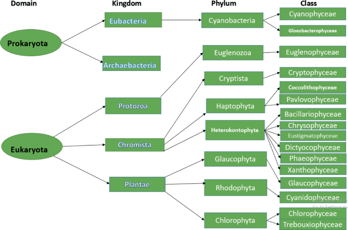 Catalytic Hydrothermal Liquefaction of Algal Biomass for Diesel Like ...