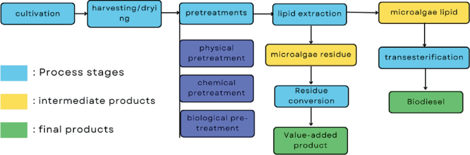 Low-Cost Microalgae Cultivation Methods | SpringerLink