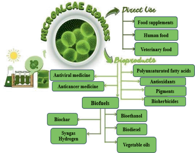 Low-Cost Microalgae Cultivation Methods | SpringerLink