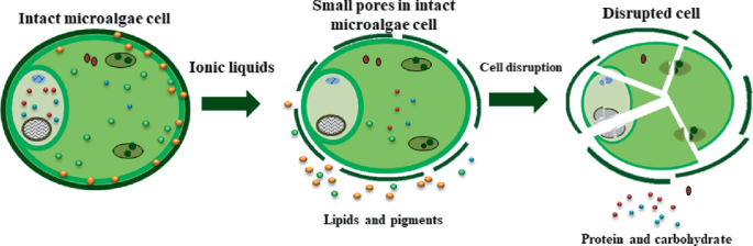 Simultaneous Extraction, Separation and Characterization of ...