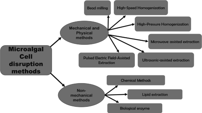 Simultaneous Extraction, Separation, and Characterization of Biomolecules from Microalgal ...