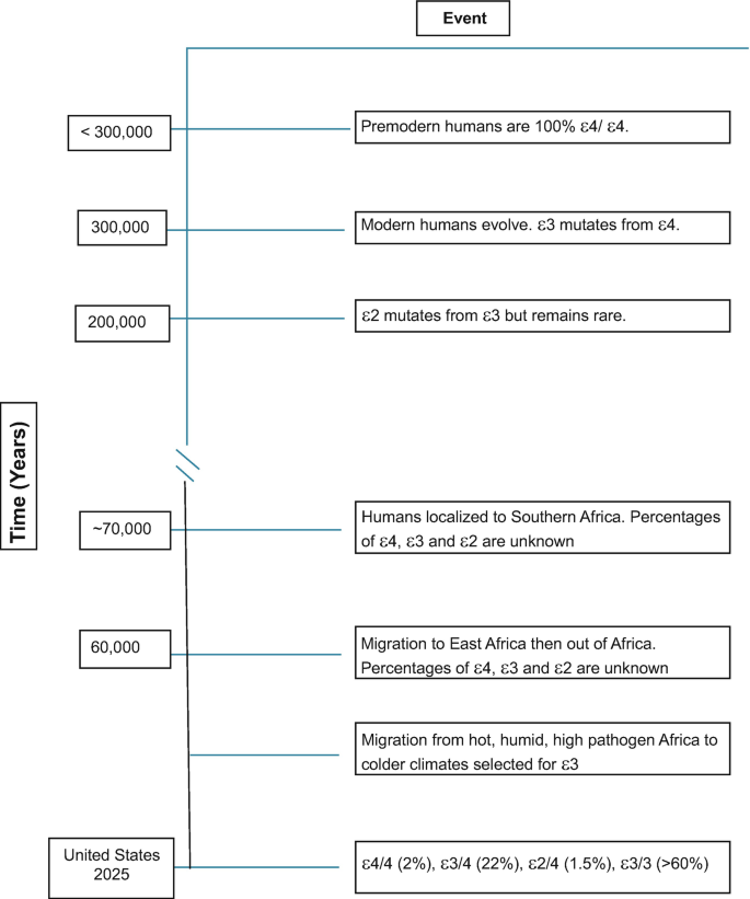 APOE, Human Ancestry, and Evolution | Springer Nature Link (formerly ...