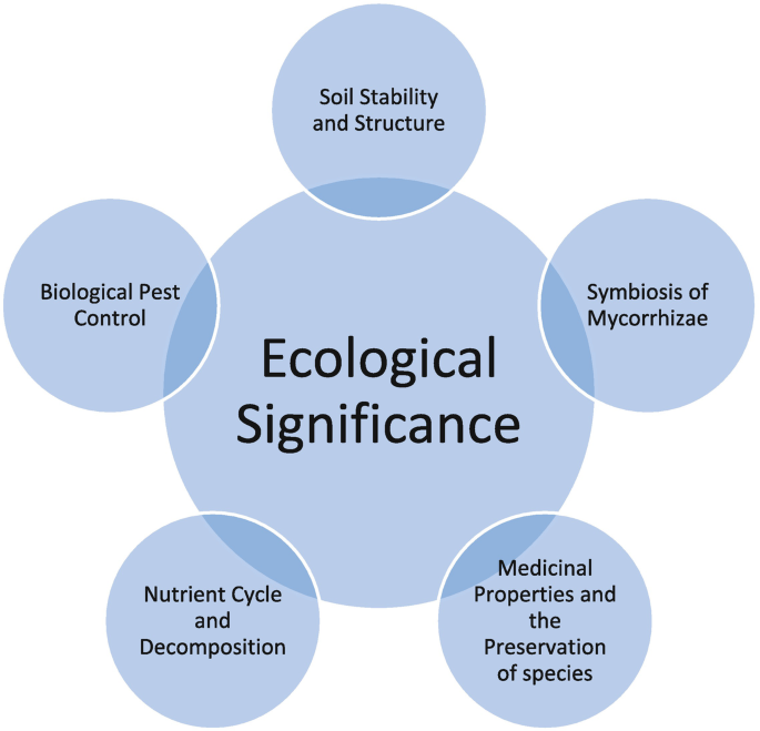 Environmental Roles of Edible Mushrooms | SpringerLink