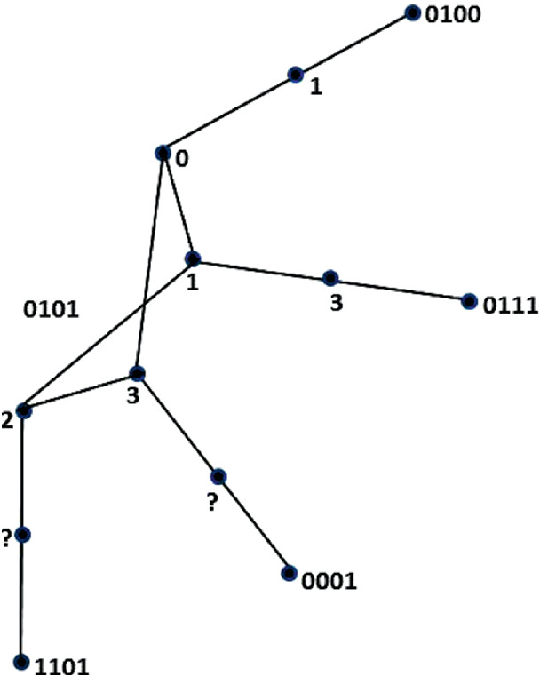 Graph Constructions Derived from Interconnection Networks | SpringerLink