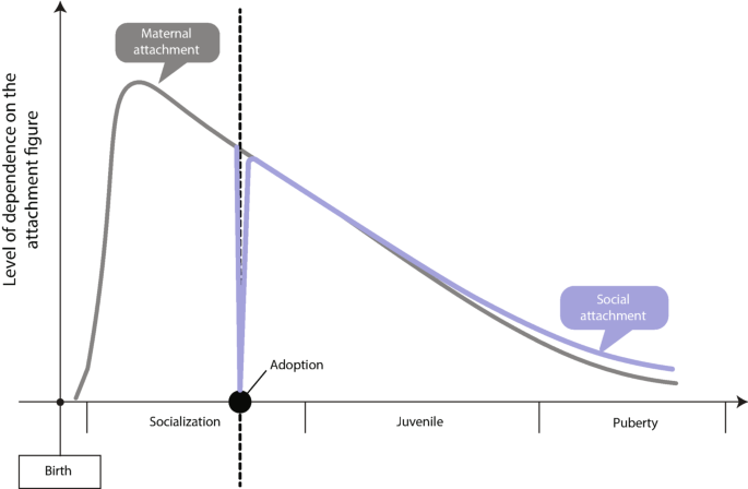Attachment Axis Disorders | SpringerLink