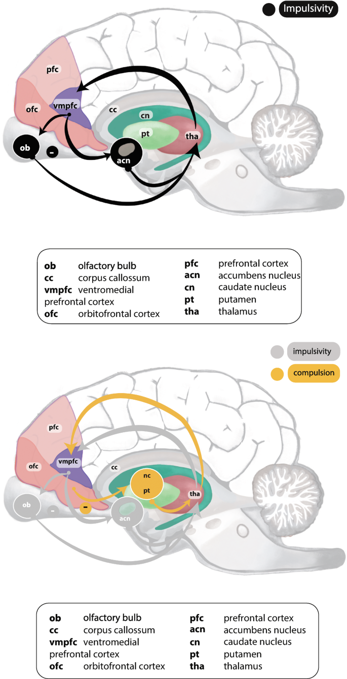 Self-Control Axis Disorders | SpringerLink