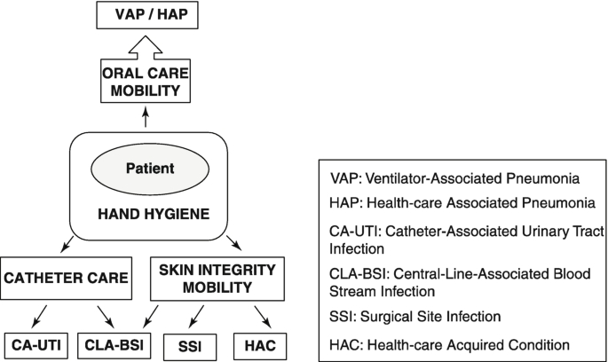Patient Care: From Body to Mind | SpringerLink