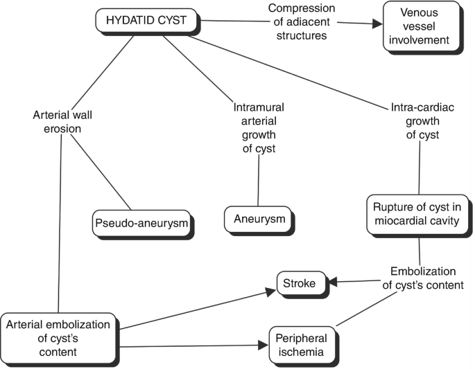 Hydatidosis | SpringerLink