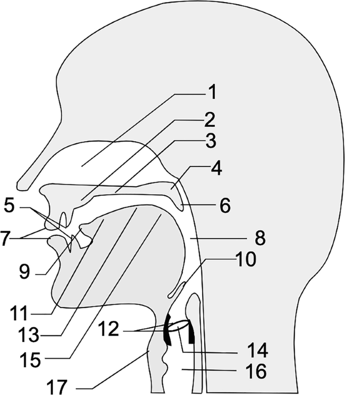 The Voice Group | SpringerLink