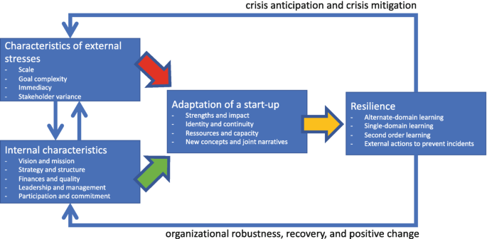 Resilience Patterns for Start-Ups: Strategies and Tools | SpringerLink