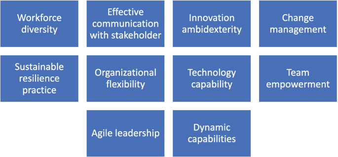 Resilience Patterns for Start-Ups: Strategies and Tools | SpringerLink