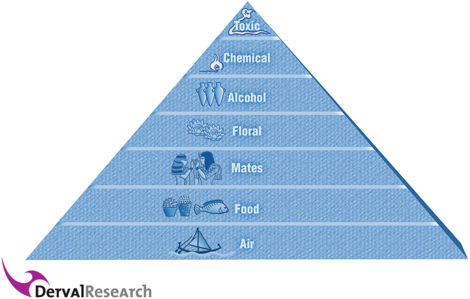 Finding the Right Influencers, KOLs, and the Sense of Smell | SpringerLink