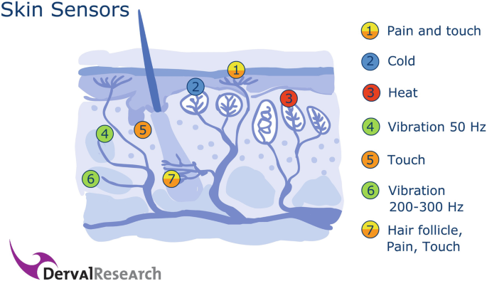 Profiling Luxury Shoppers, Emerging Markets, and the Sense of Vibration ...