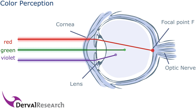 Spotting the Right Positioning, Luxury Gifting, and the Sense of Colors ...