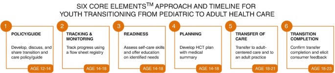 Defining Healthcare Transition | Springer Nature Link (formally ...