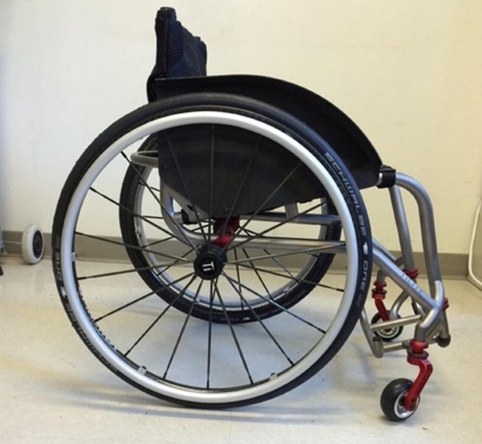 Mobility Impairment | SpringerLink