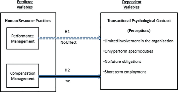 Investigating the Effects of Performance and Compensation Management on ...