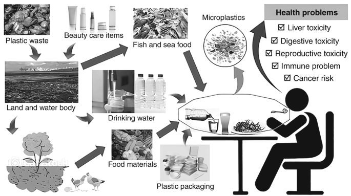 Microplastics: Sources, Interactions, and Impacts in Humans | SpringerLink