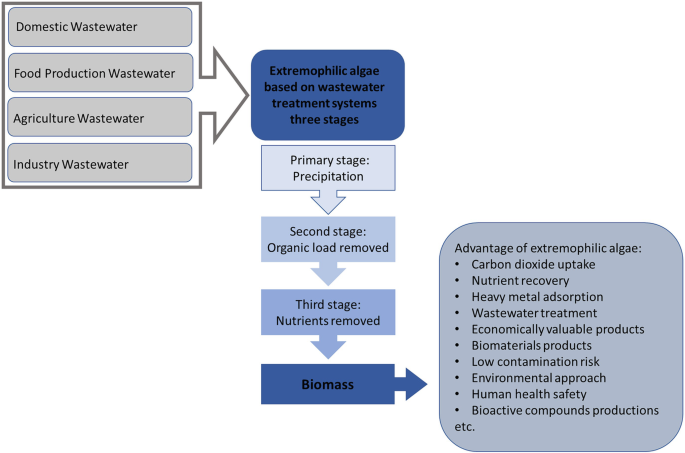 Extremophilic Algae-Based Wastewater Treatment, Nutrient Recovery, and ...