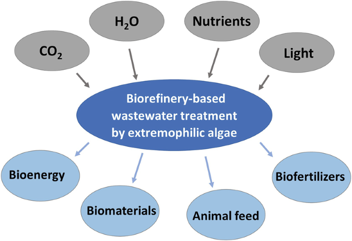 Extremophilic Algae-Based Wastewater Treatment, Nutrient Recovery, and ...