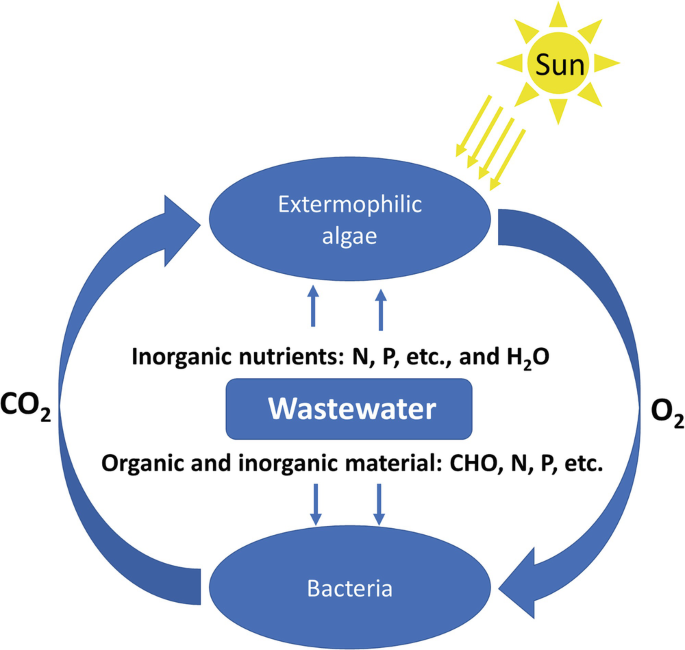 Extremophilic Algae-Based Wastewater Treatment, Nutrient Recovery, and ...