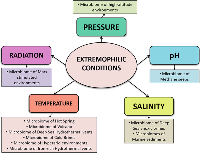 Implications of Polyextremophiles in Astrobiology Research | SpringerLink