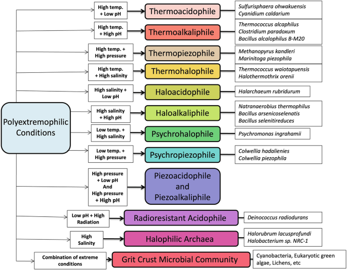 Implications of Polyextremophiles in Astrobiology Research | SpringerLink