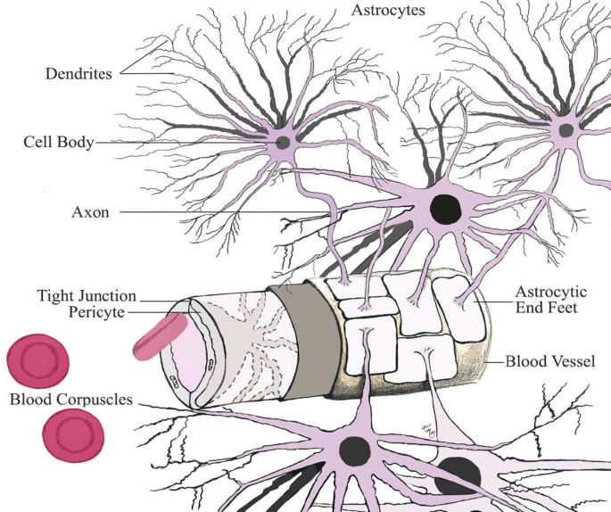 How to Build a Neuron | SpringerLink