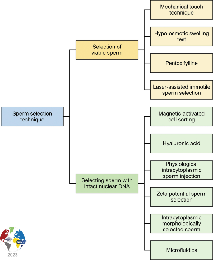 Sperm Preparation and Sperm Selection Techniques | SpringerLink