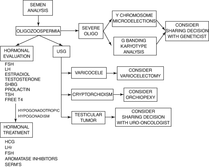 Sperm Concentration and Total Sperm Count | SpringerLink