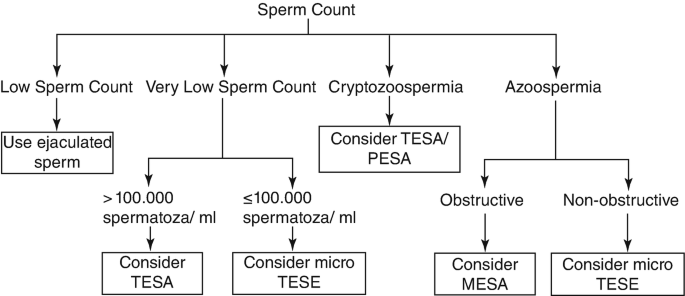 Sperm Concentration and Total Sperm Count | SpringerLink