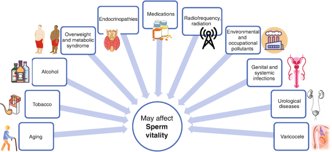 Sperm Vitality | SpringerLink