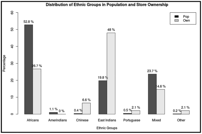Structural Pluralism in Guyana | SpringerLink