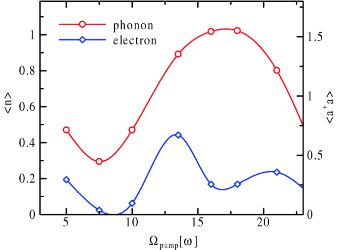 Dynamics of Photoinduced Entanglement in Electron-Phonon Systems | SpringerLink