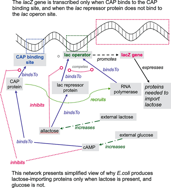 Why Is Biology Hard? | SpringerLink