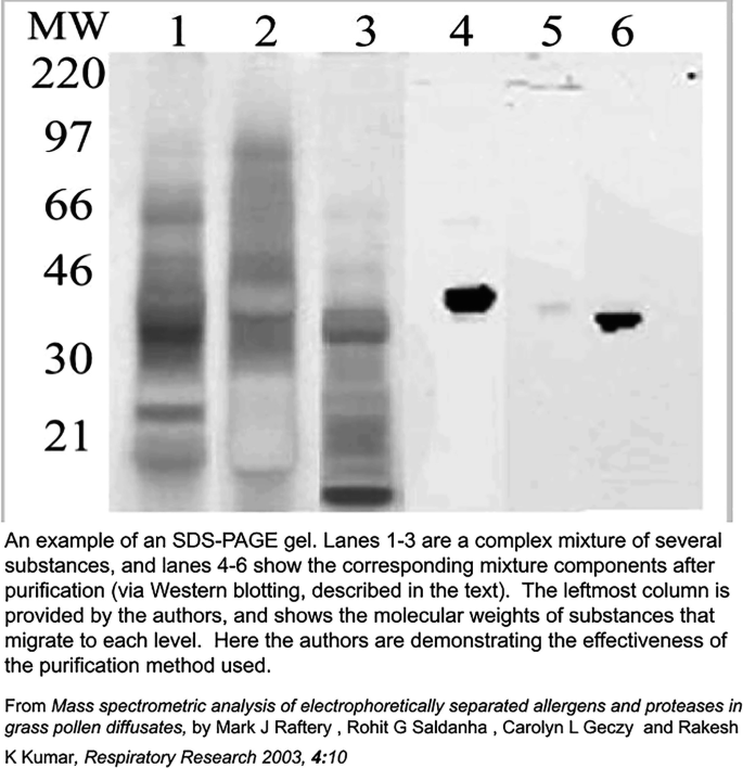 Manipulation of the Very Small | SpringerLink