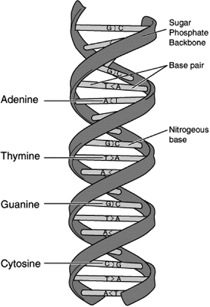 Is Science Defined by Its Community? | SpringerLink