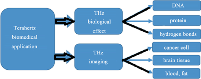 Terahertz Technology and Its Importance in the Field of Biomedical ...