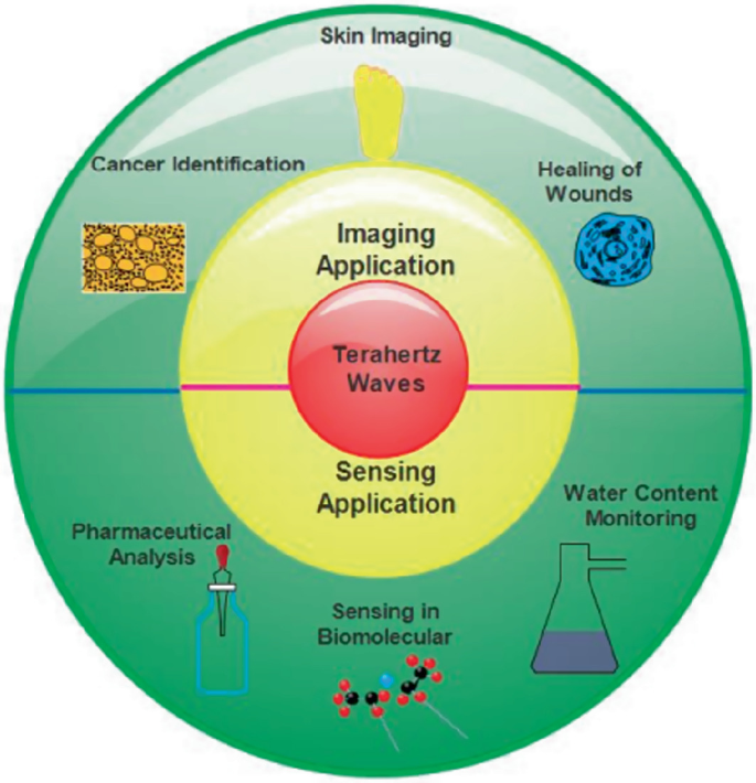 Terahertz Waves in Biomedicine: Pioneering Imaging and Sensing for ...