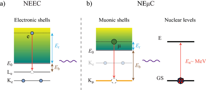 Nuclear Excitation by Free Muon Capture | SpringerLink